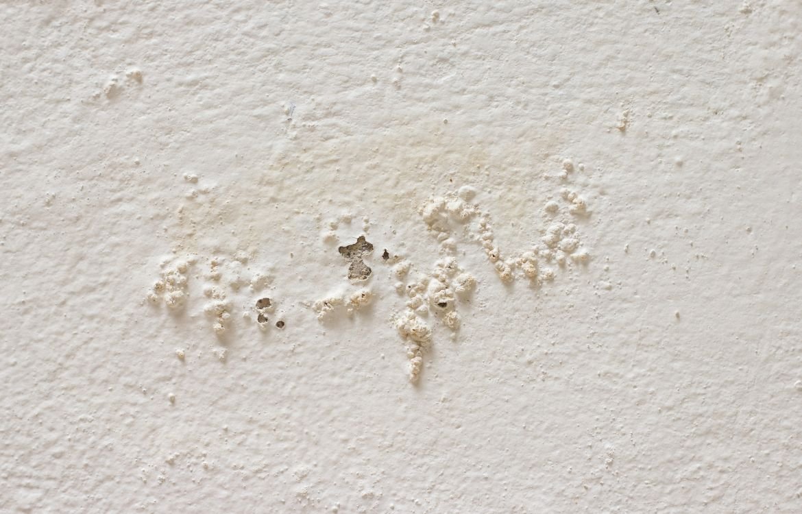 Understand the Importance of Interior House Painting Surface ...
